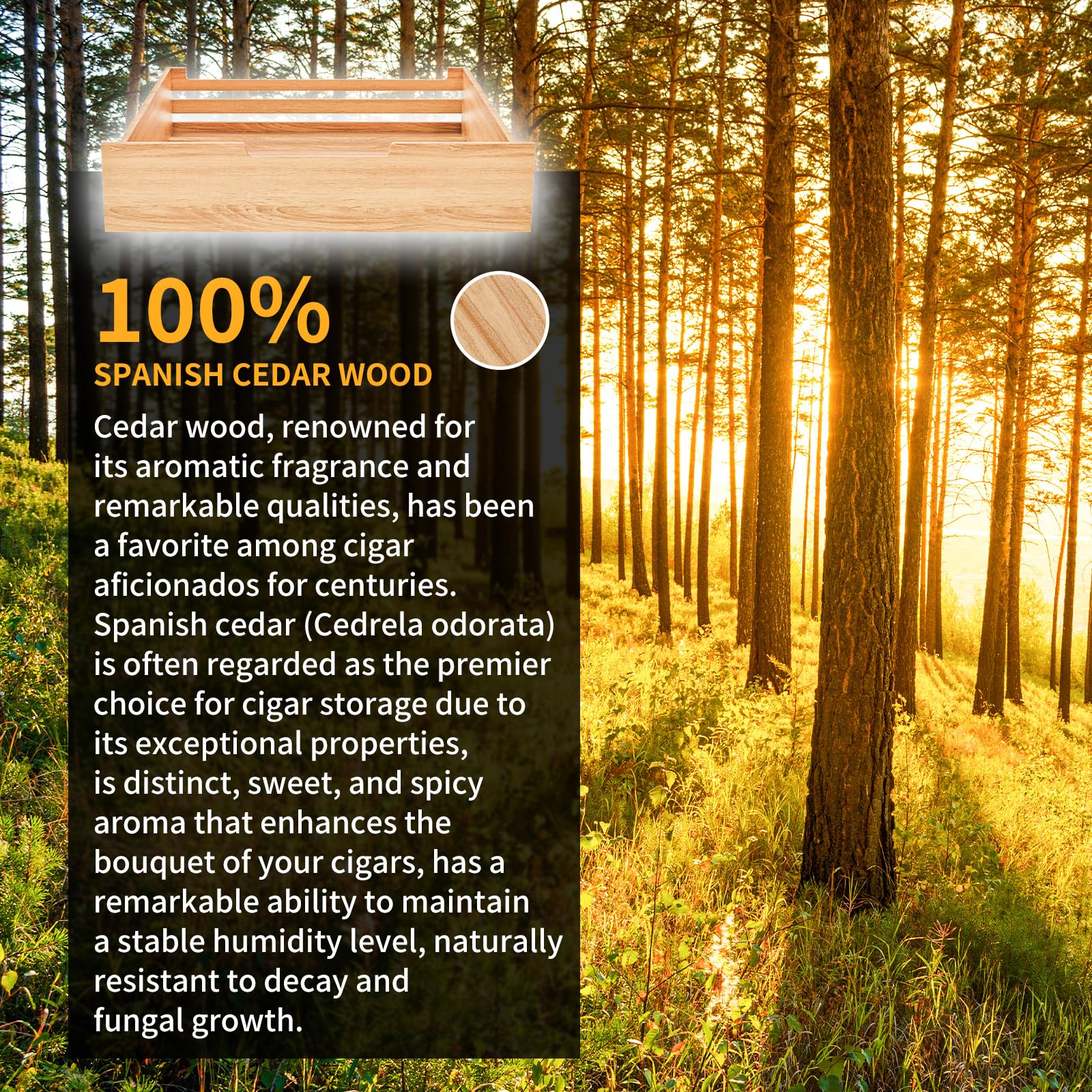 Snapklik.com : Cigars Spanish Cedar Tray Drawer -Fits For 48L-C Humidor ...
