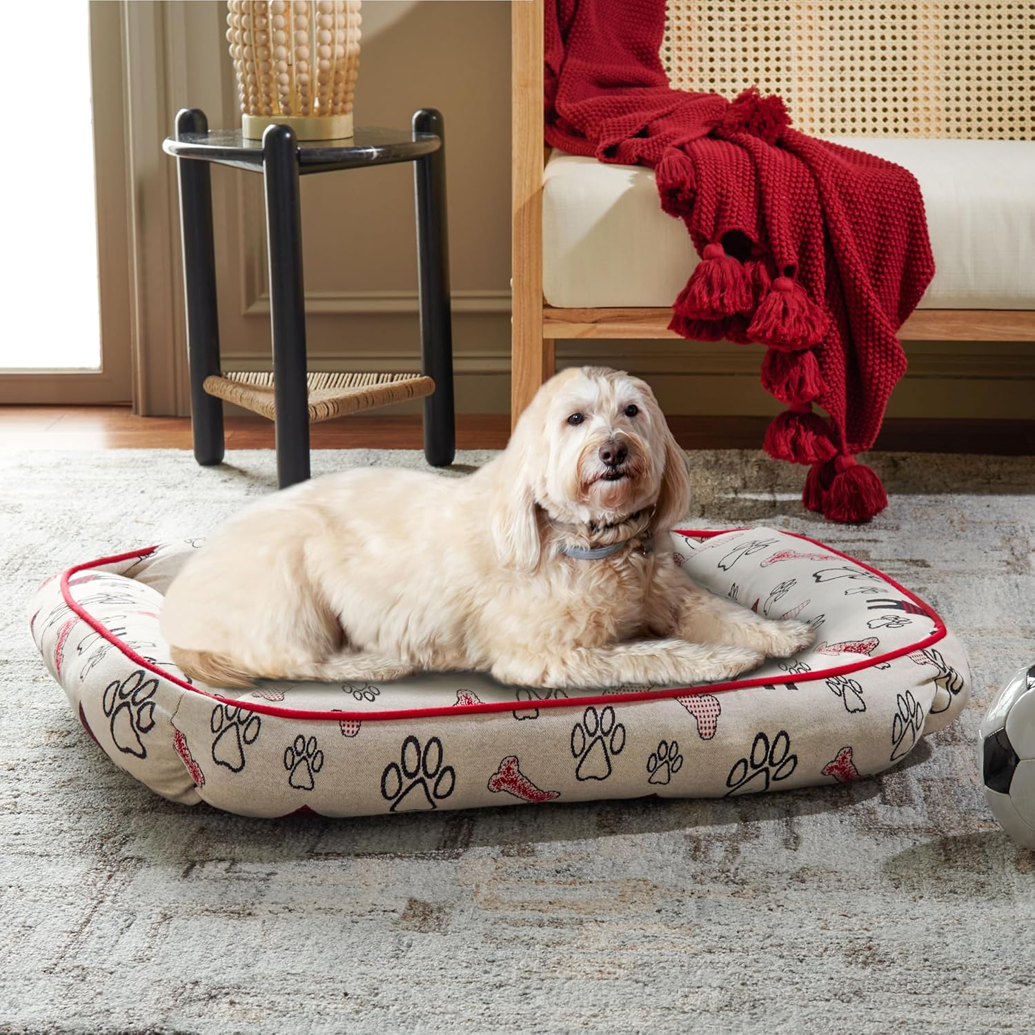Amazon.com: SAFAVIEH Pet Collection Genji Dog Bed