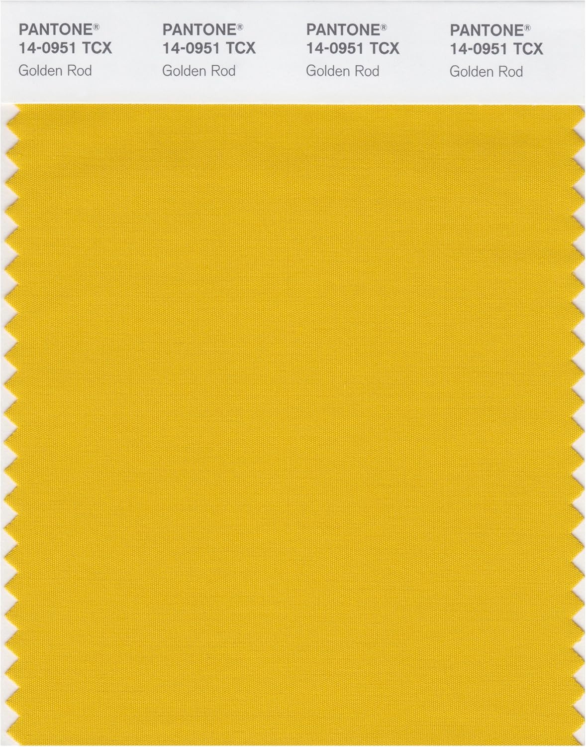 PANTONE Smart 14-0951X Color Swatch Card, Golden Rod - House Paint ...