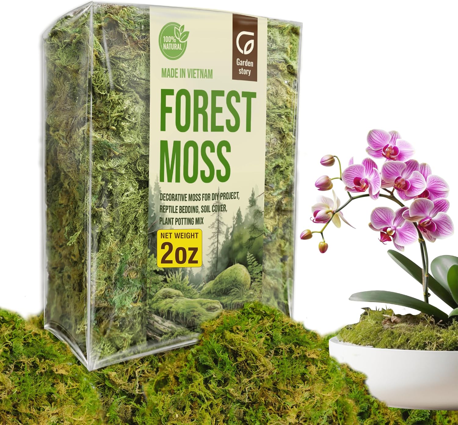 Amazon.com : 2 Oz Forest Moss for Indoor Plants, Dried Moss for Potted ...