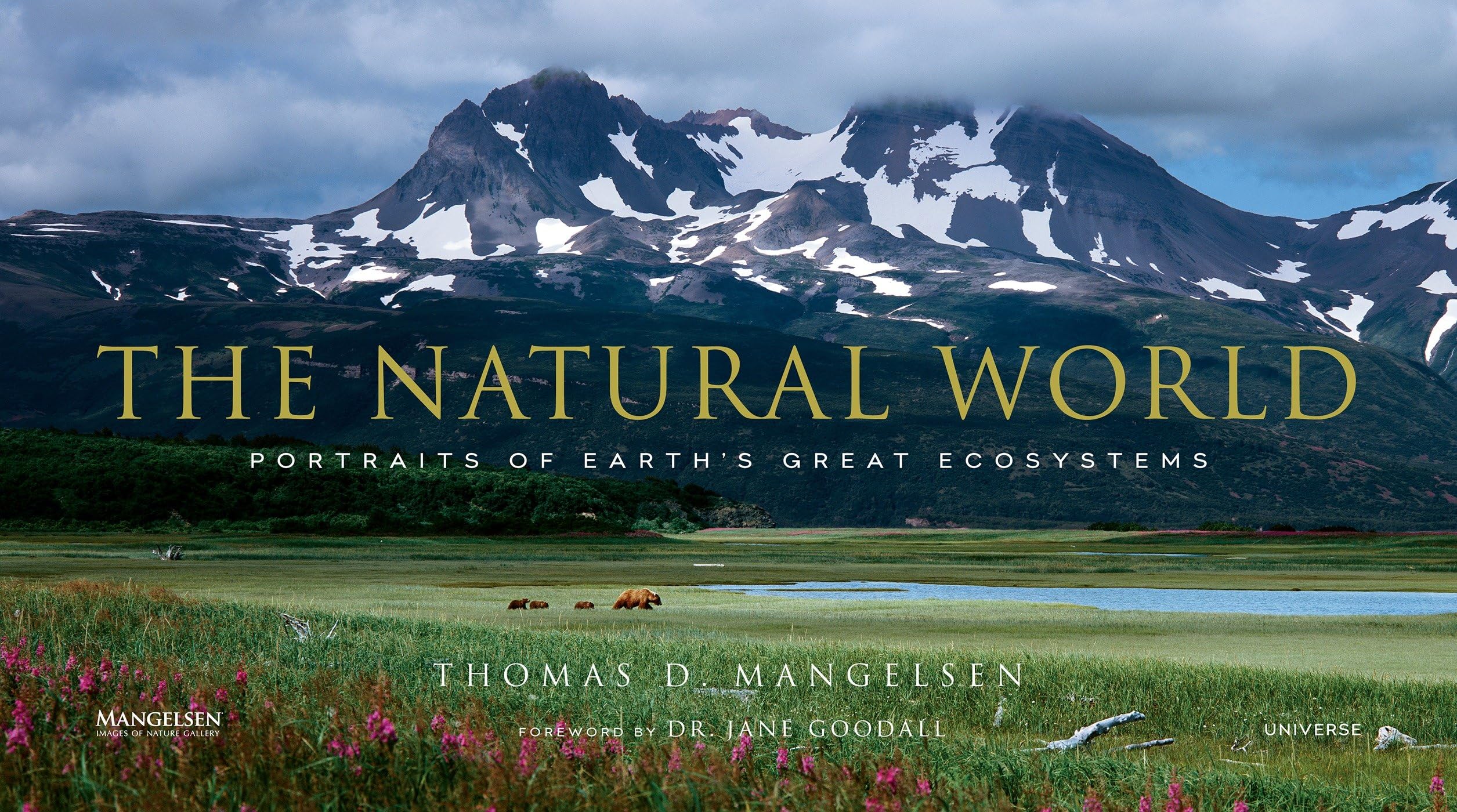 Amazon | The Natural World: Portraits of Earth's Great Ecosystems ...
