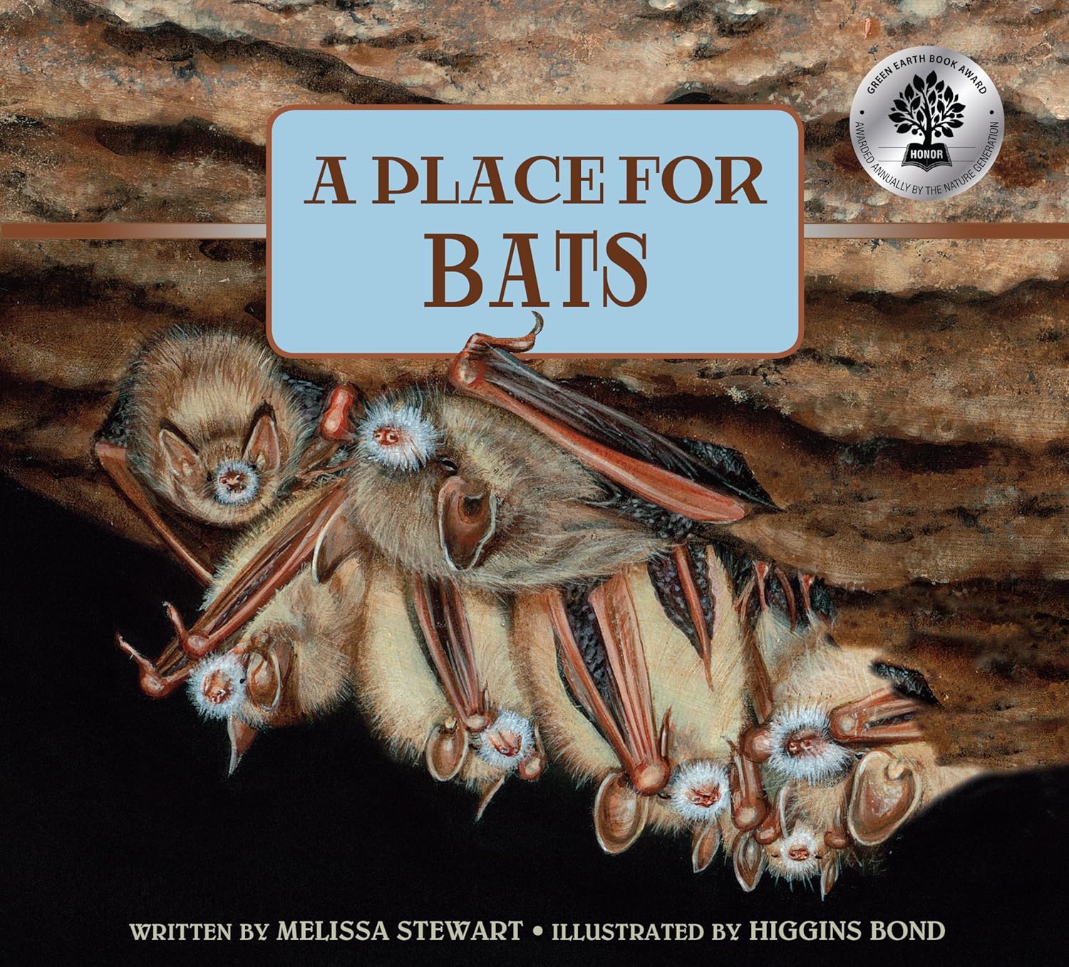 A Place for Bats: Stewart, Melissa, Bond, Higgins: 9781561457632 ...