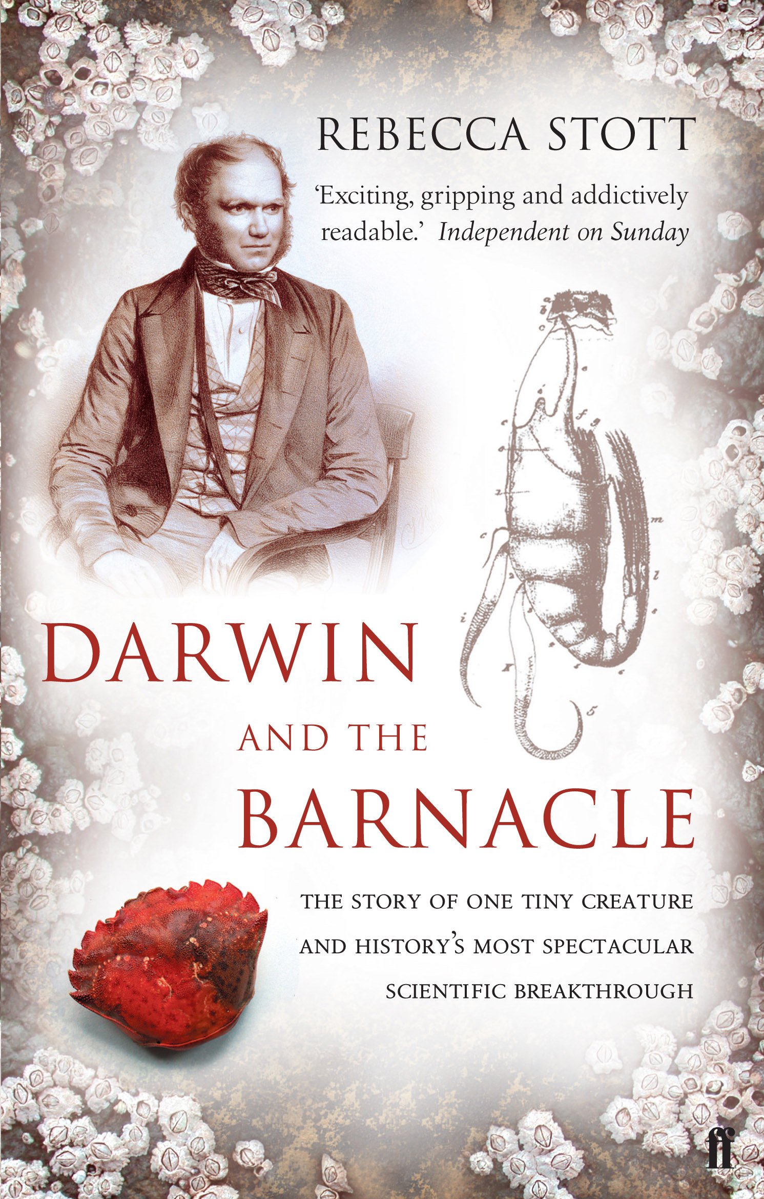 Barnacle Love Quotes 10 Awesome Quotes That Will Make You Fall In Love