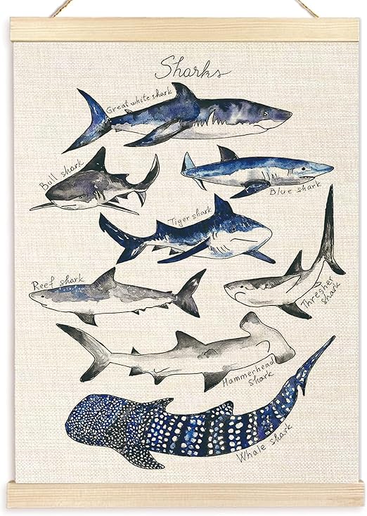 Amazon.com: Ecezatik Shark Poster Hanger Frame, Wall Art for Beach Room ...