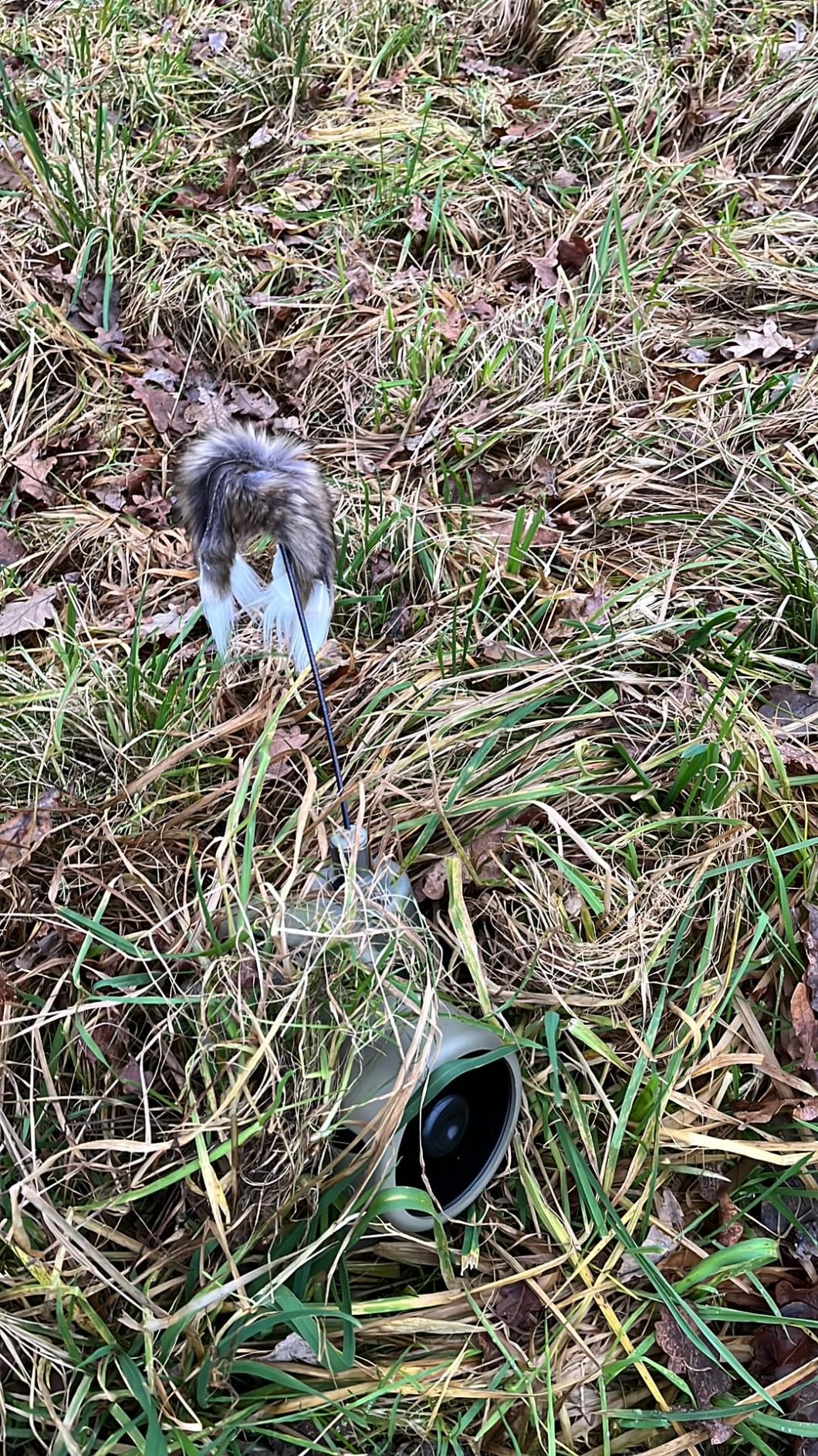 Amazon.com : Icotec Nomad+ Programmable Predator Call/Decoy Combo with ...