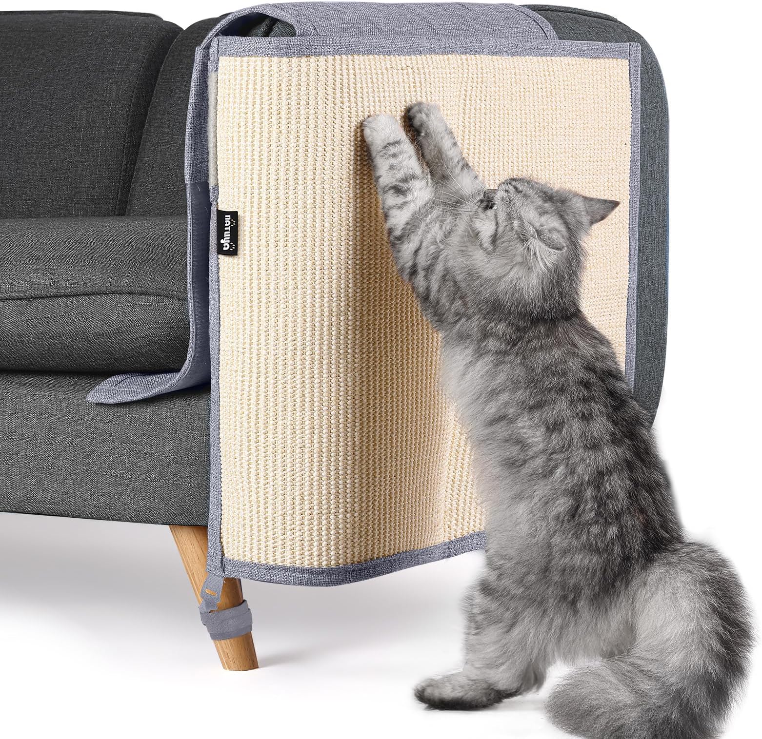 Amazon.com : Couch Defender for Cats | How to Stop Pets from Scratching ...