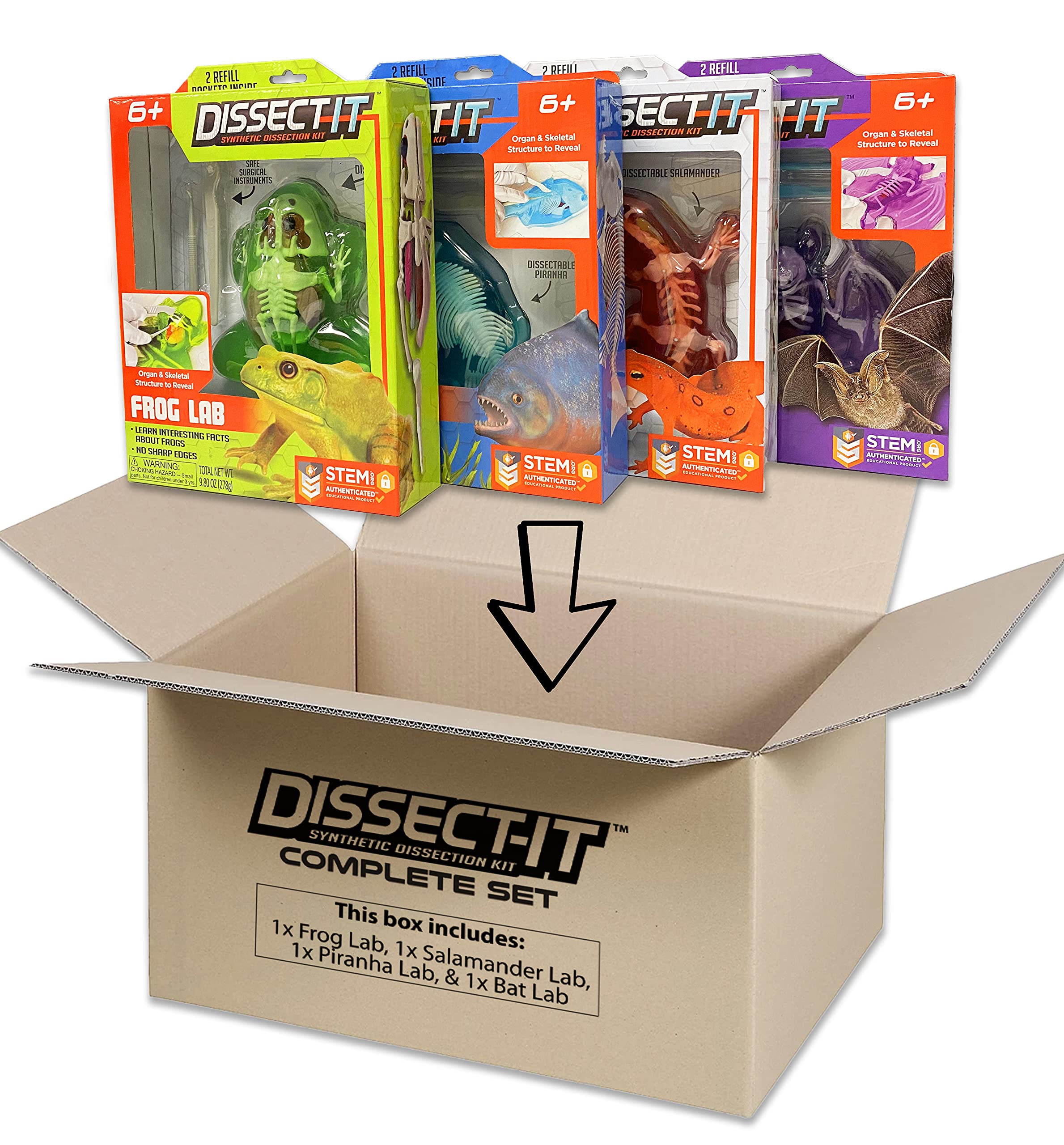 Dissect-It Simulated Synthetic Lab Dissection Toy, STEM Projects for ...