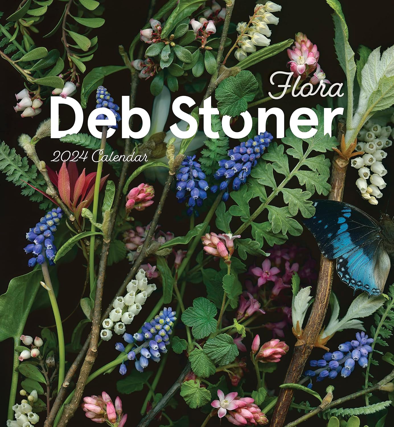 Deb : Flora 2024 Wall Calendar : Deb: Amazon.in: Office Products