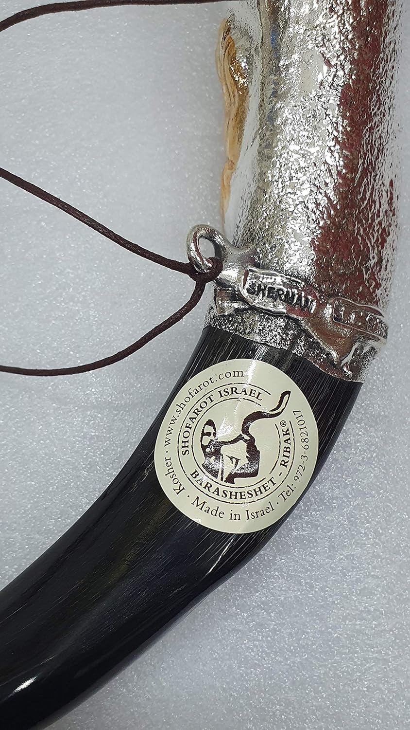 SHOFAROT ISRAEL BARSHESHET – RIBAK Silver 925 Unción Kudu Shofar León ...