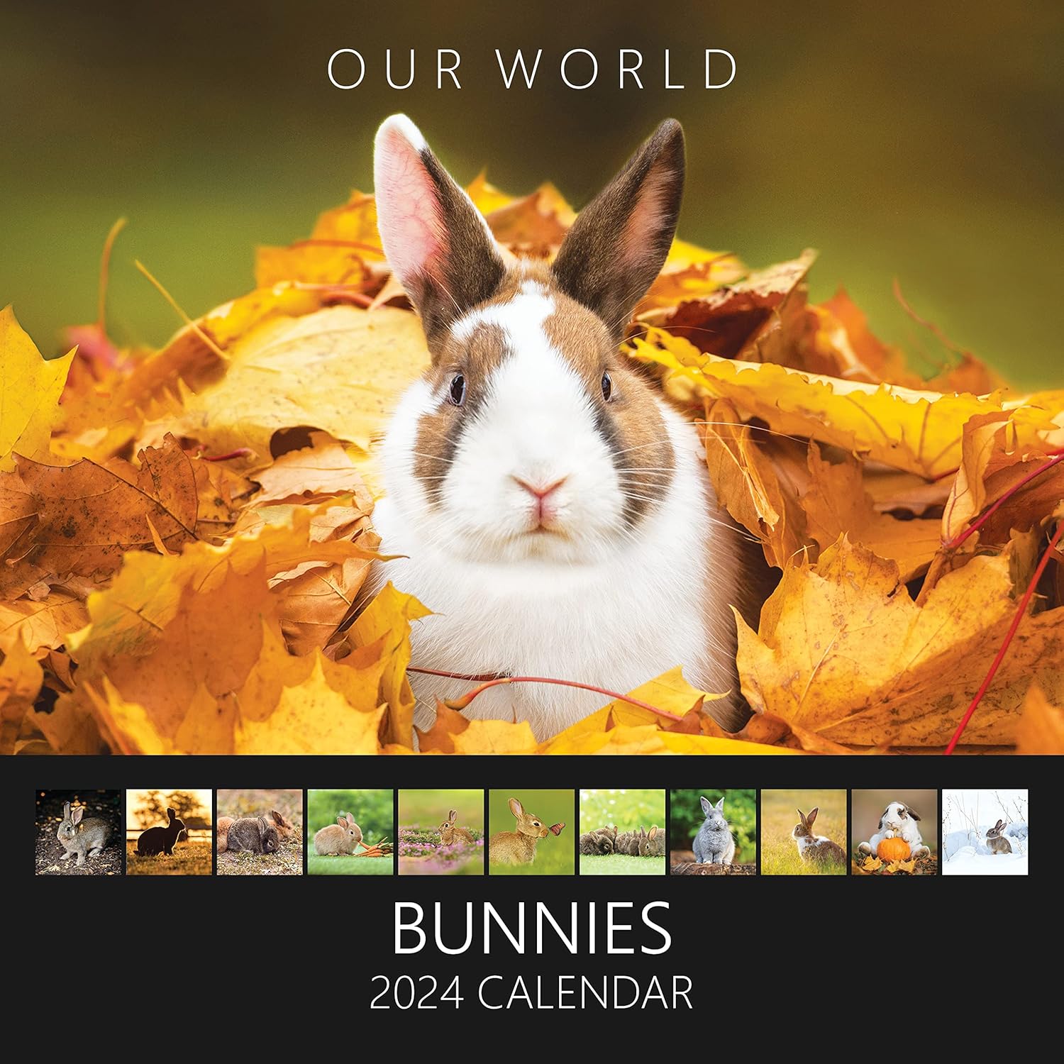 Amazon.com: Our World Bunnies Wall Calendar 2024 - Fun Family Planner ...