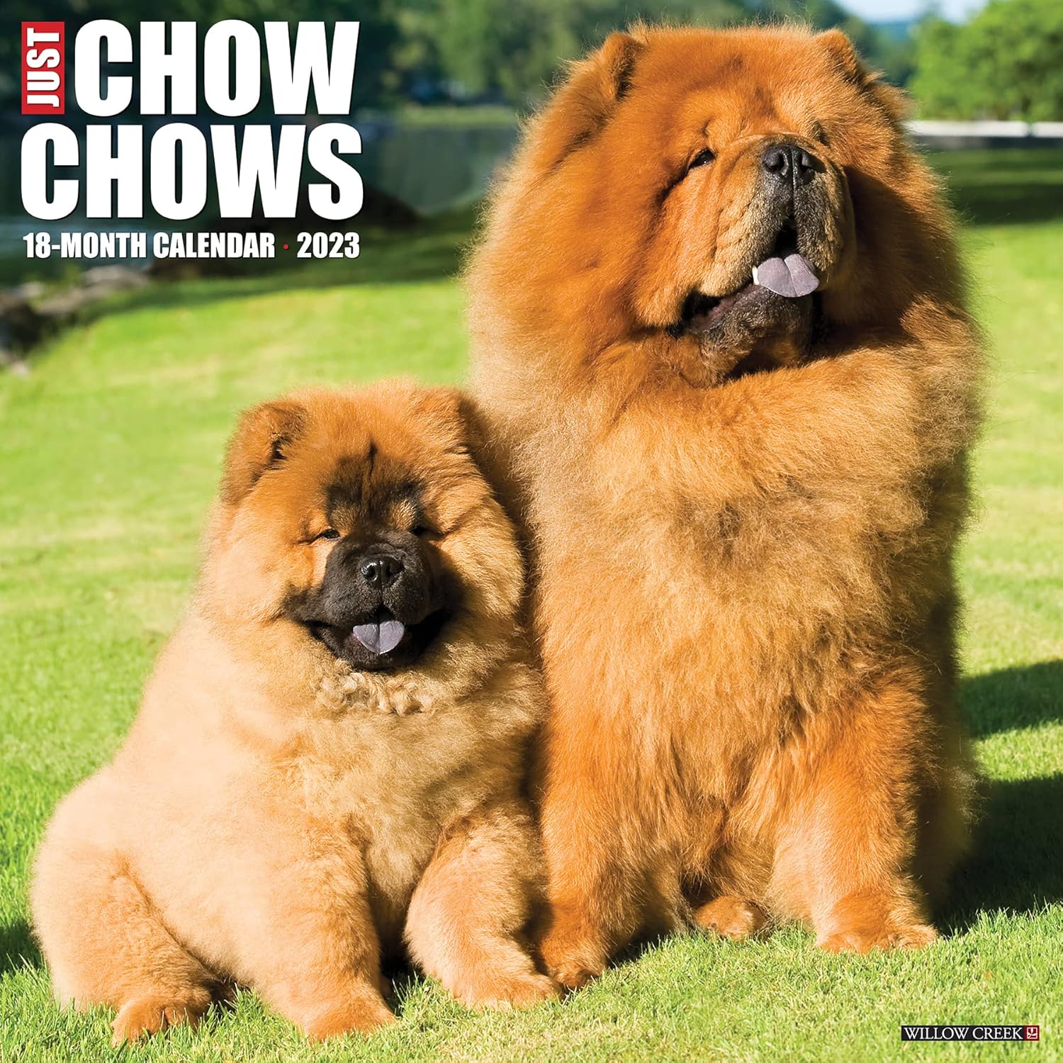 Amazon.com: Just Chow Chows 2023 Wall Calendar: 9781549225437: Willow ...