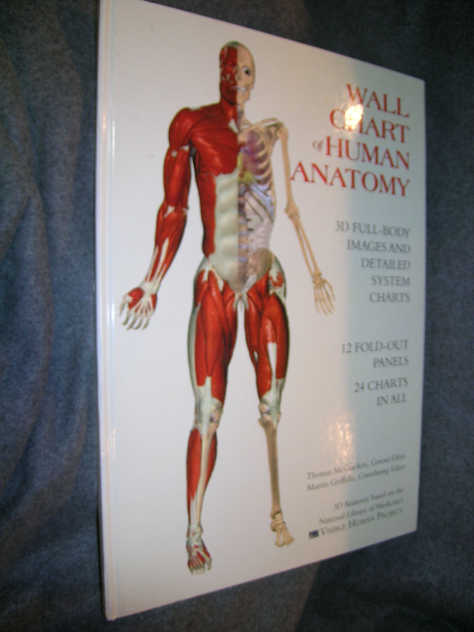 Wallchart of Human Anatomy: 3 D Full-Body Images, Detailed System ...