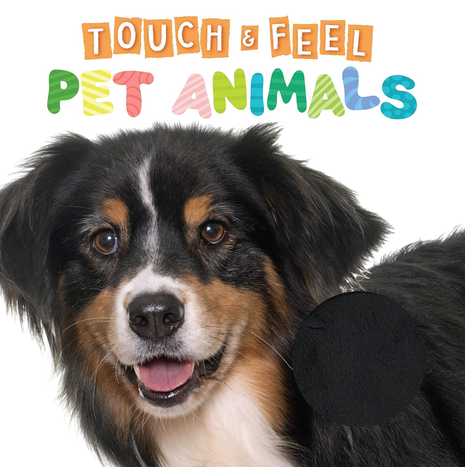 Amazon.com: Touch and Feel Pet Animals - Novelty Book - Children's ...