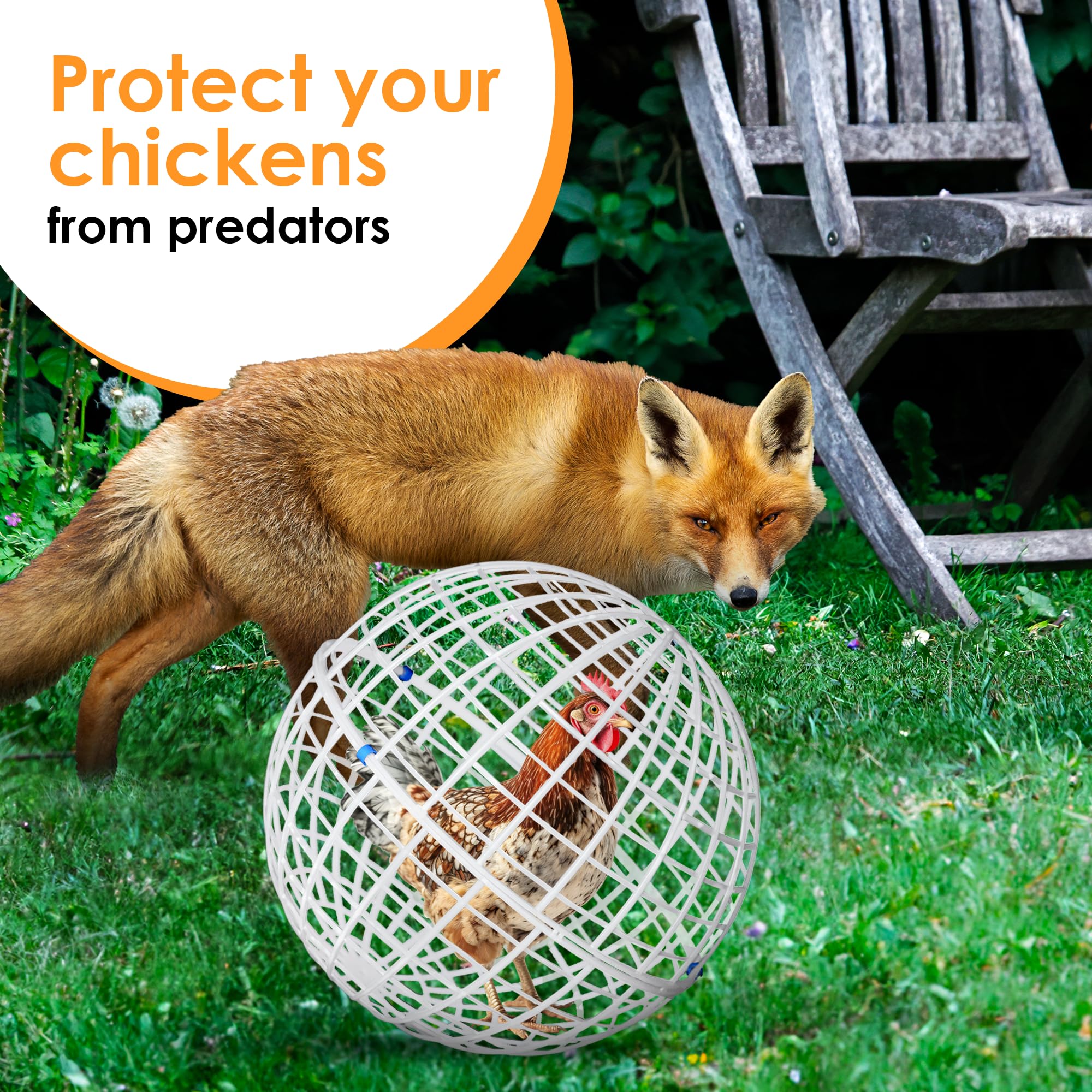 Rolling Hen Orb Cage 19" - Spherical Chicken Enclosure for Garden ...