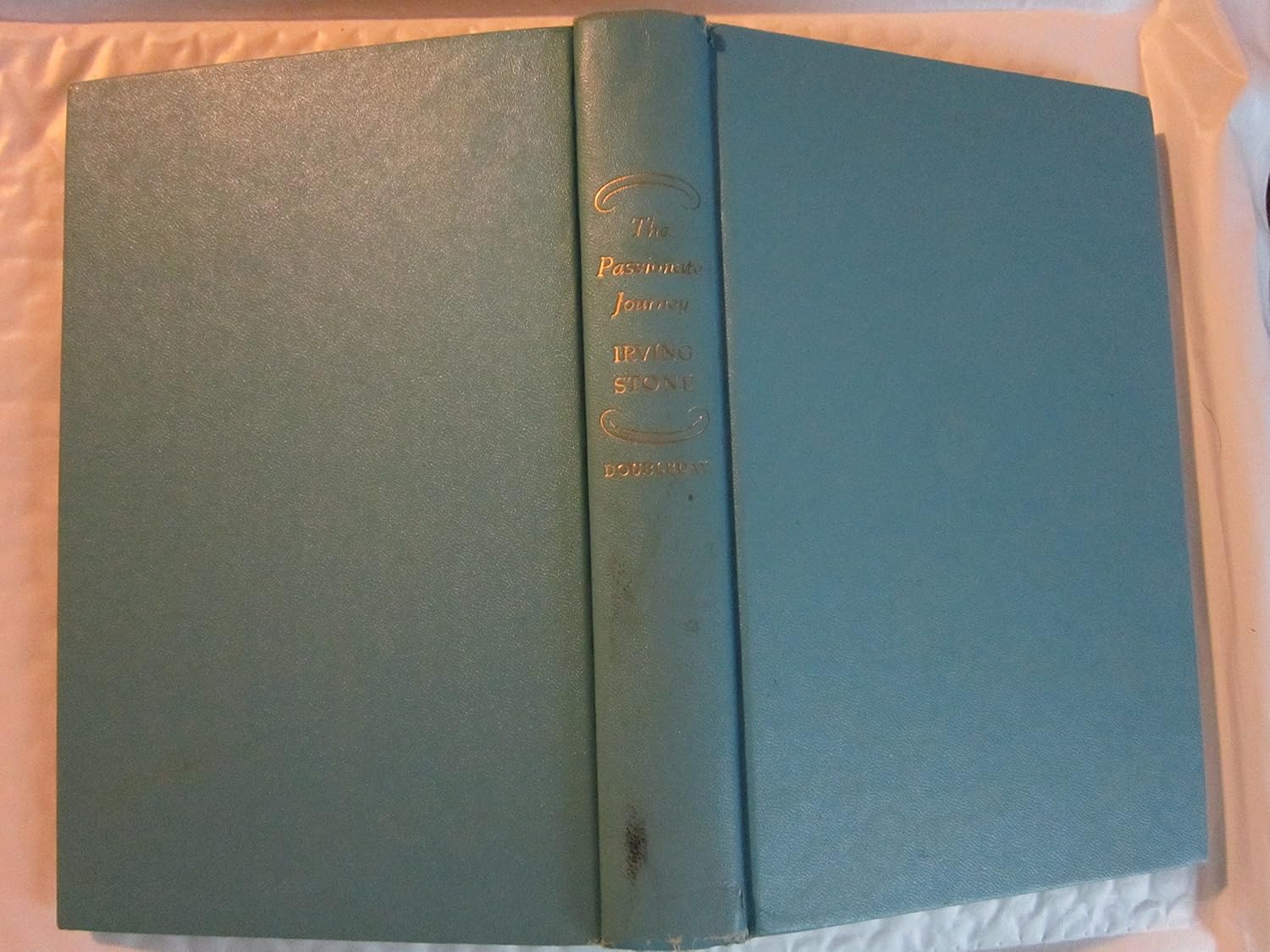 The Passionate Journey: Irving Stone: Amazon.com: Books
