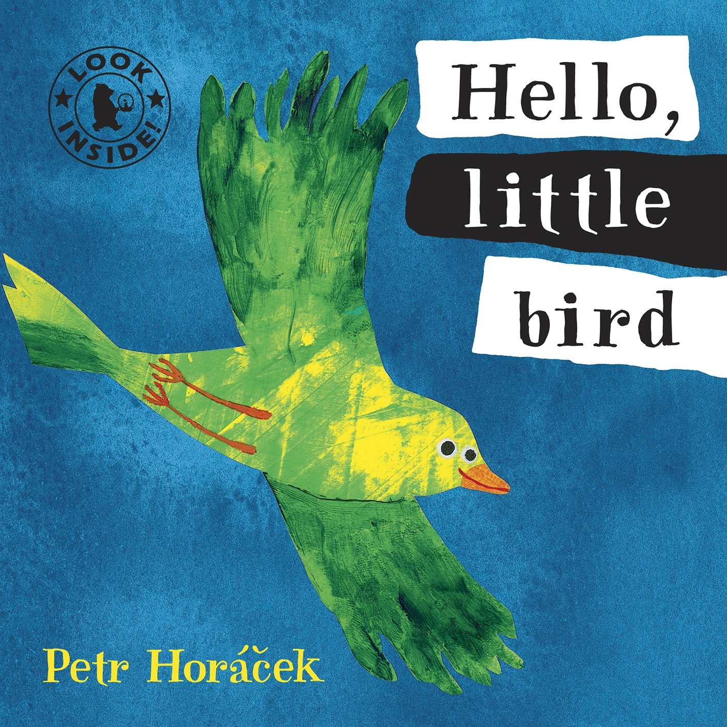 Hello, Little Bird: Petr Horáček: 9781406325089: Amazon.com: Books