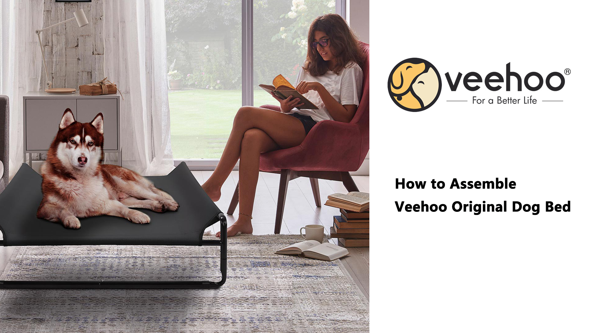 Watch How to Assemble Veehoo Cooling Elevated Dog Bed on Amazon Live
