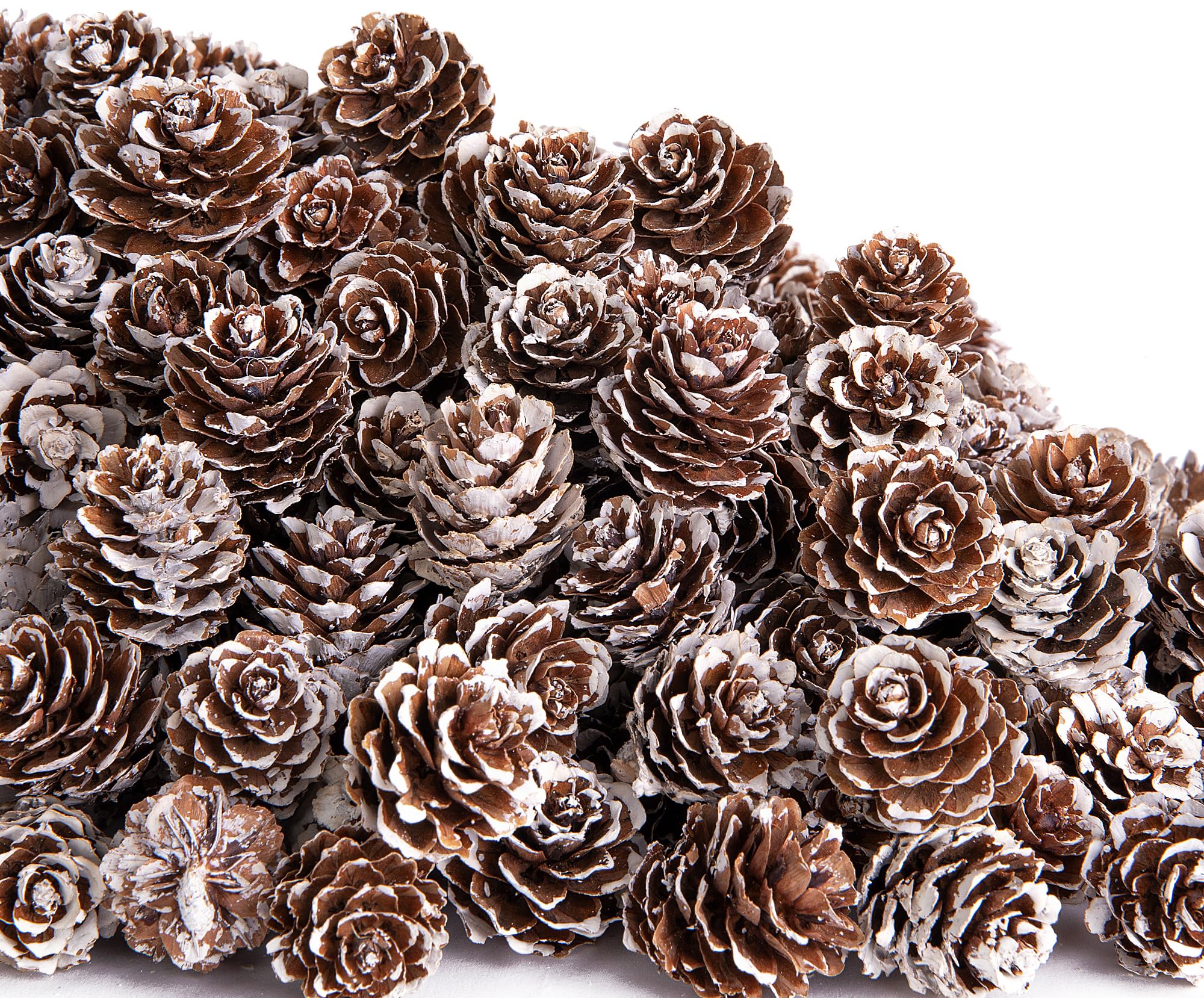 Amazon.com: Deloky 400 Pcs Christmas Natural Mini Pine Cones- 1" Small ...