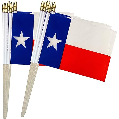 Amazon.com: Kind Girl 50 Pack Hand Held Texas Flag State Flag Stick ...