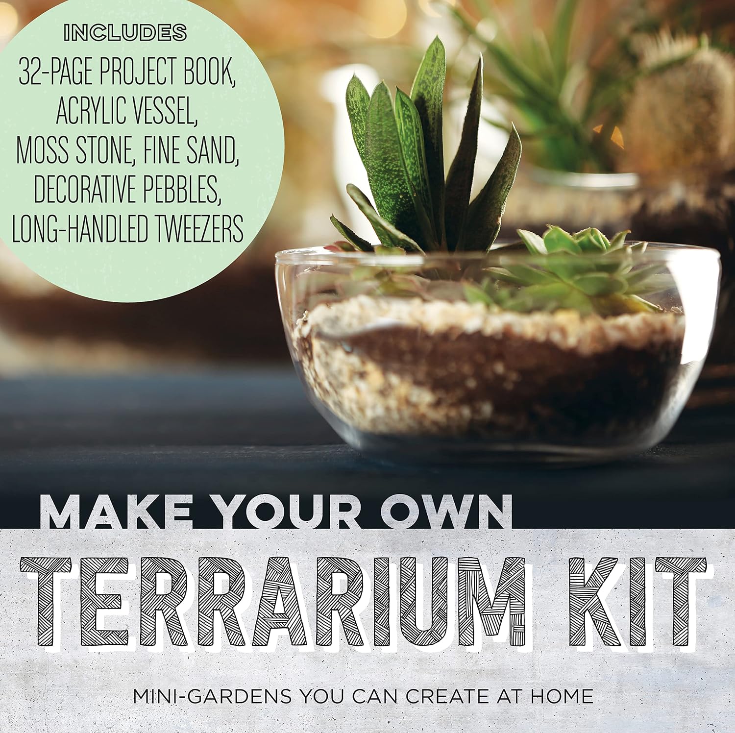 Buy Make Your Own Terrarium Kit: Mini Gardens You Can Create at Home ...