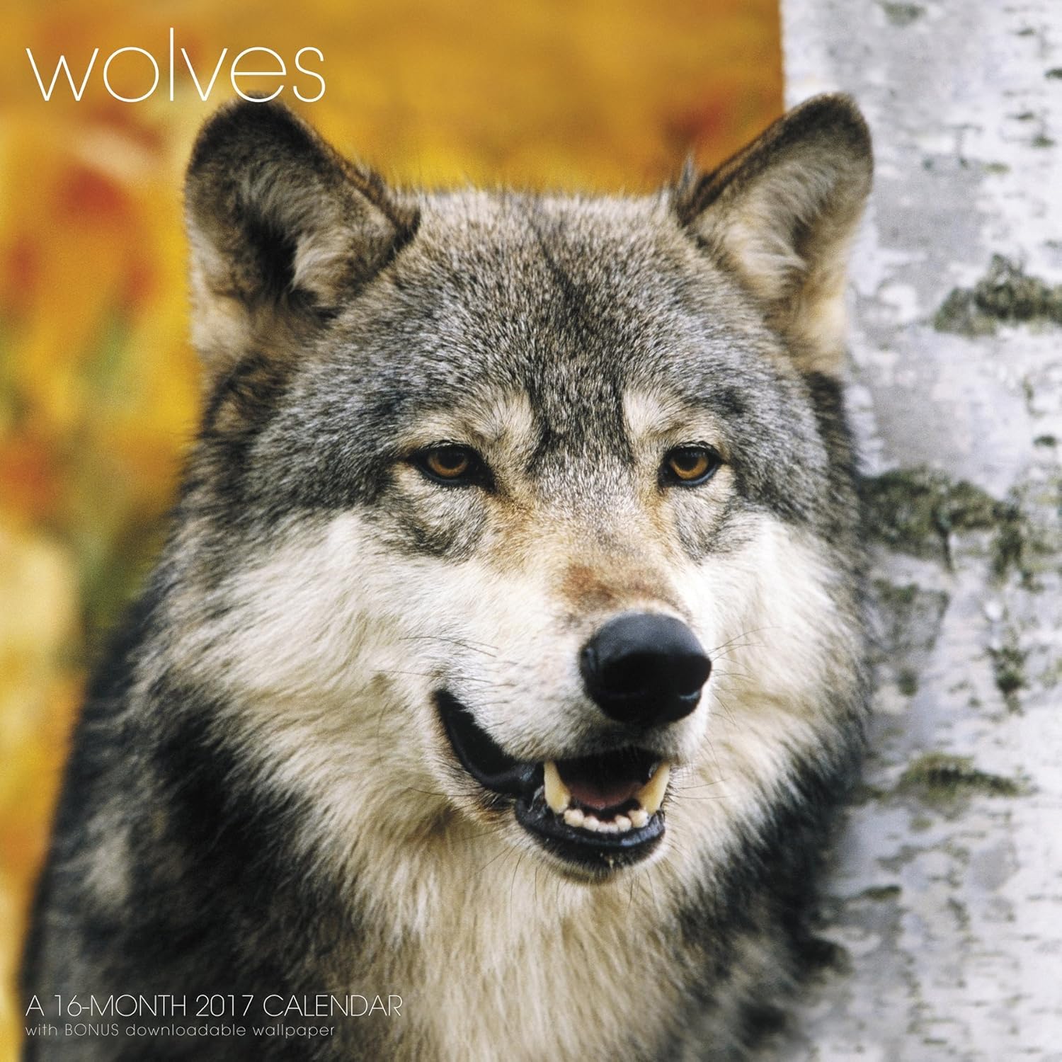 Amazon | Wolves 2017 Calendar: Includes Downloadable Wallpaper | ACCO ...