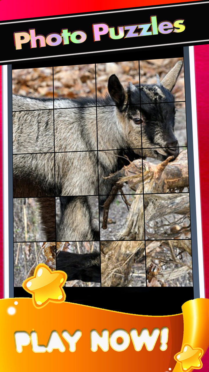 Goat Pictures-Baby Goats Puzzle Game - App on Amazon Appstore