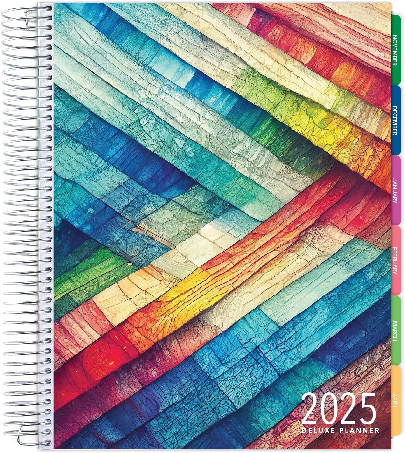 Amazon.com : Deluxe 2025 Planner, 8.5"x11": 14 Months (November 2024 ...