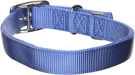 Amazon.com : Hamilton Thick Nylon Deluxe Dog Collar, 1-Inch by 24-Inch ...