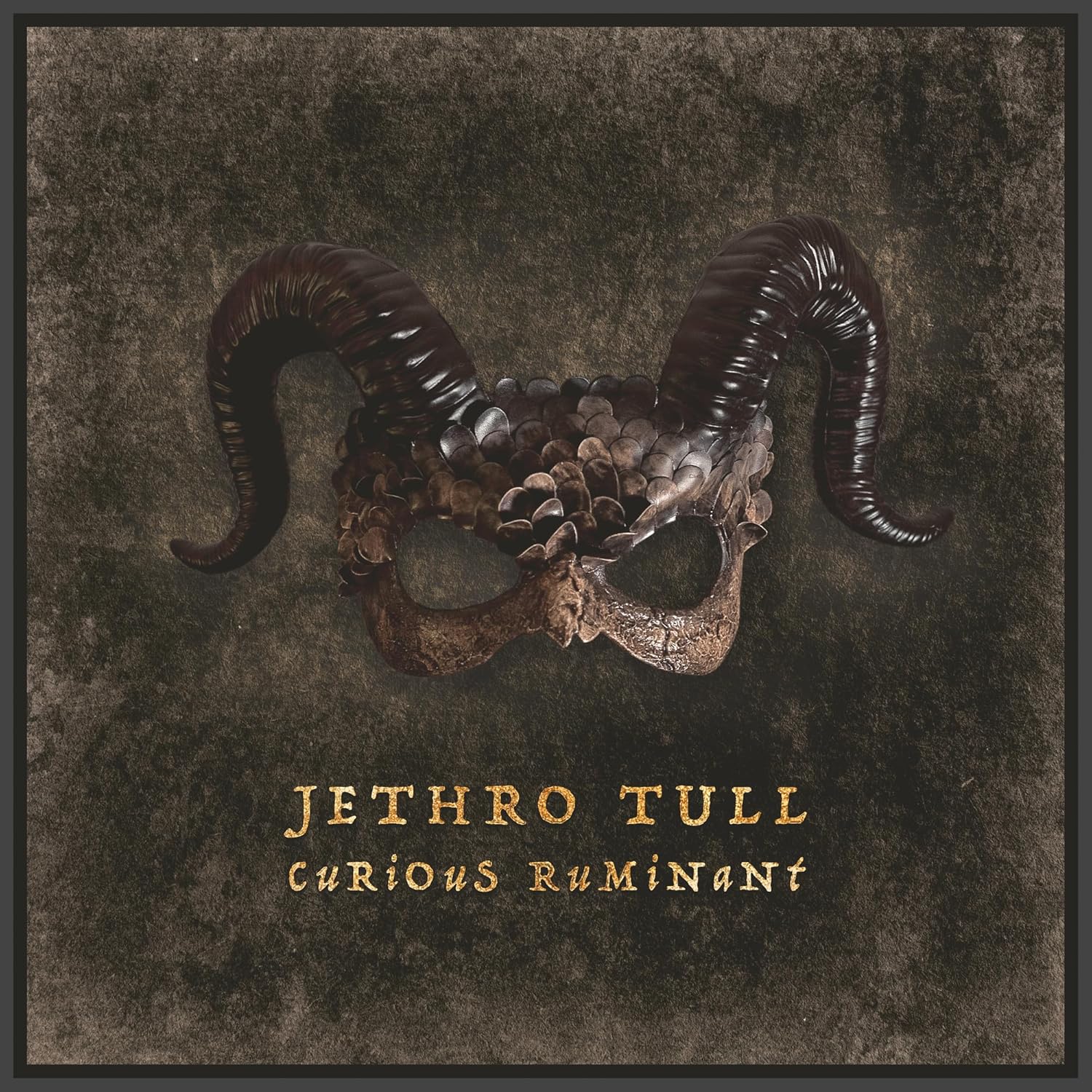 Curious Ruminant (Deluxe Edition) (Vinyl): Jethro Tull: Amazon.ca: Music