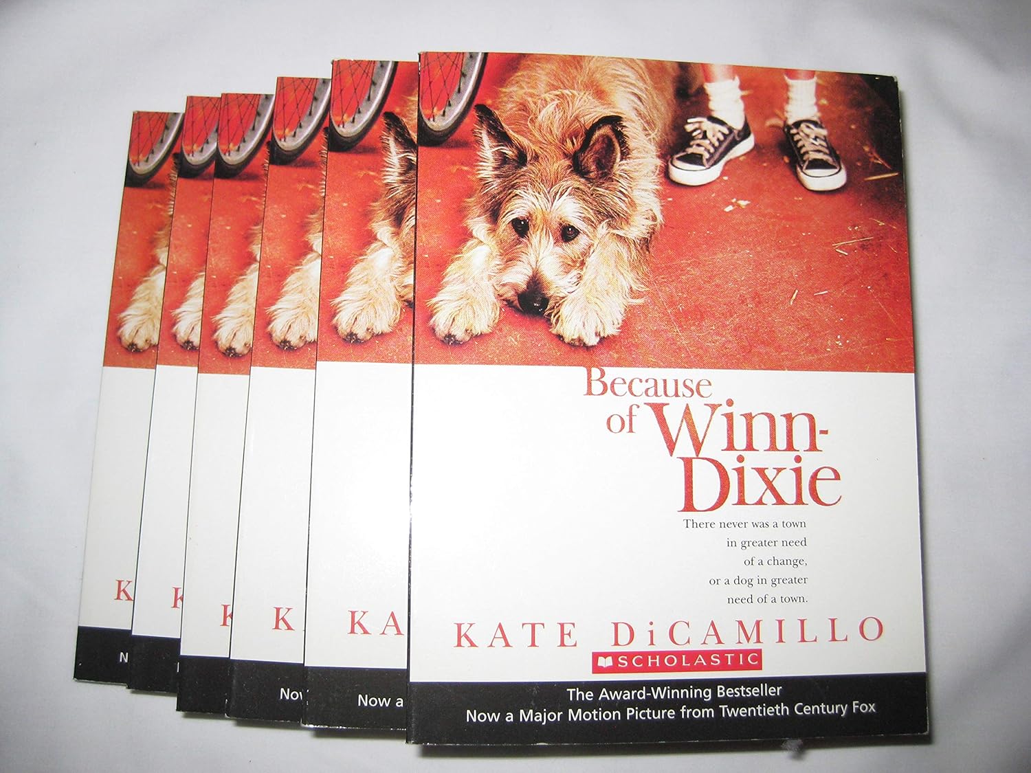 Amazon.com: Leveled Guided Reading Set - Because of Winn-Dixie : Health ...