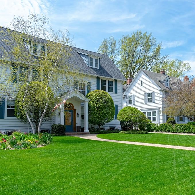 Amazon.com : Outsidepride Fireball & Hattrick Rye Grass Seed Blend - 50 ...