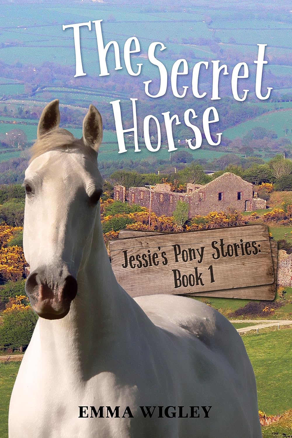 Amazon.com: The Secret Horse (Jessie's Pony Stories: Book 1) eBook ...