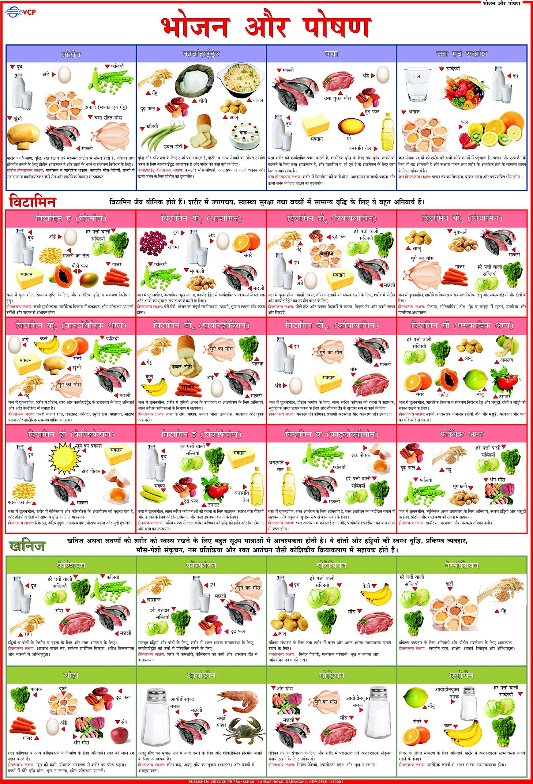 Food & Vitamin Chart | HINDI | 70 X 100 CM | LAMINATED : Vidya Chitr ...
