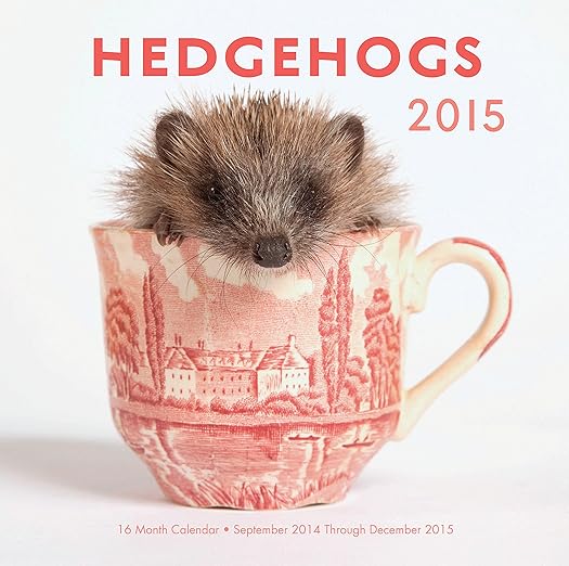 Hedgehogs 2015: 16-Month Calendar September 2014 through December 2015 ...