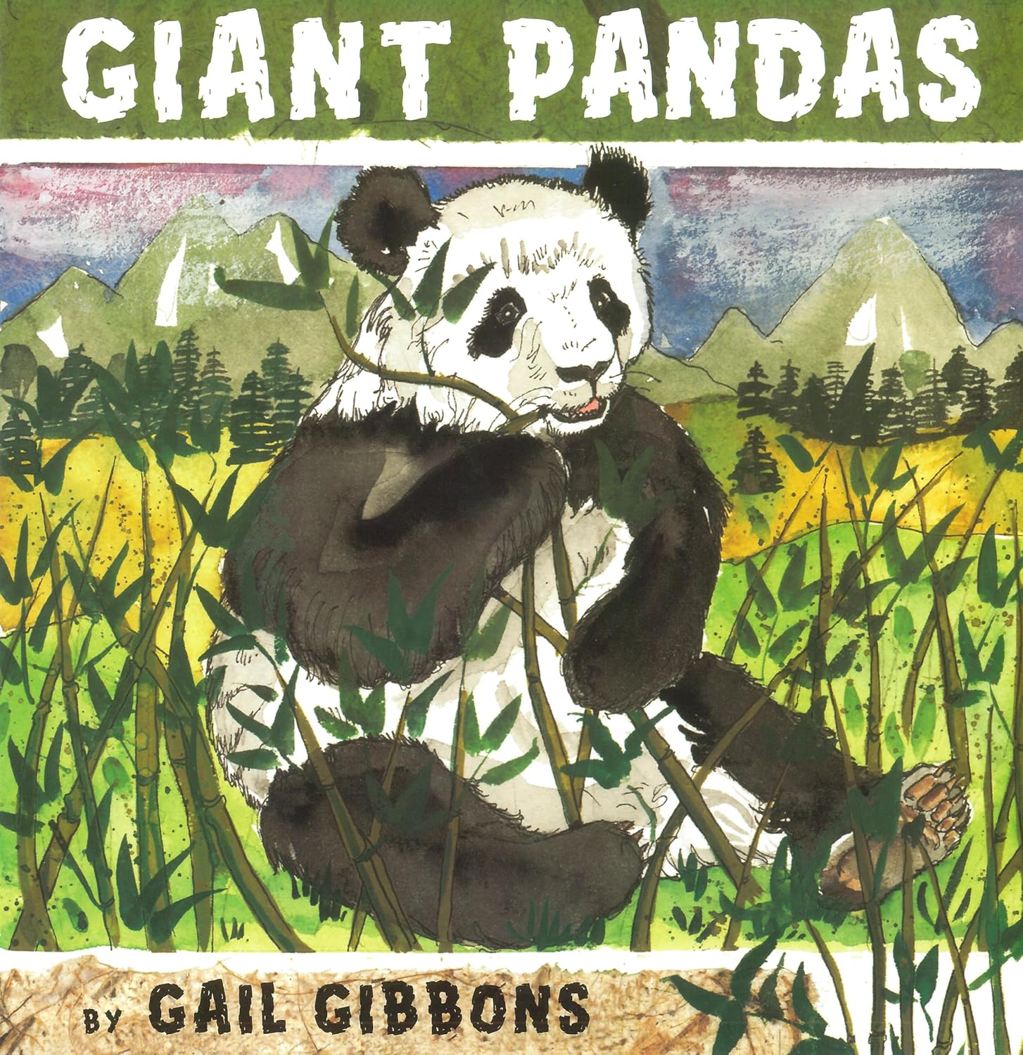 Giant Pandas : Gibbons, Gail: Amazon.co.uk: Books
