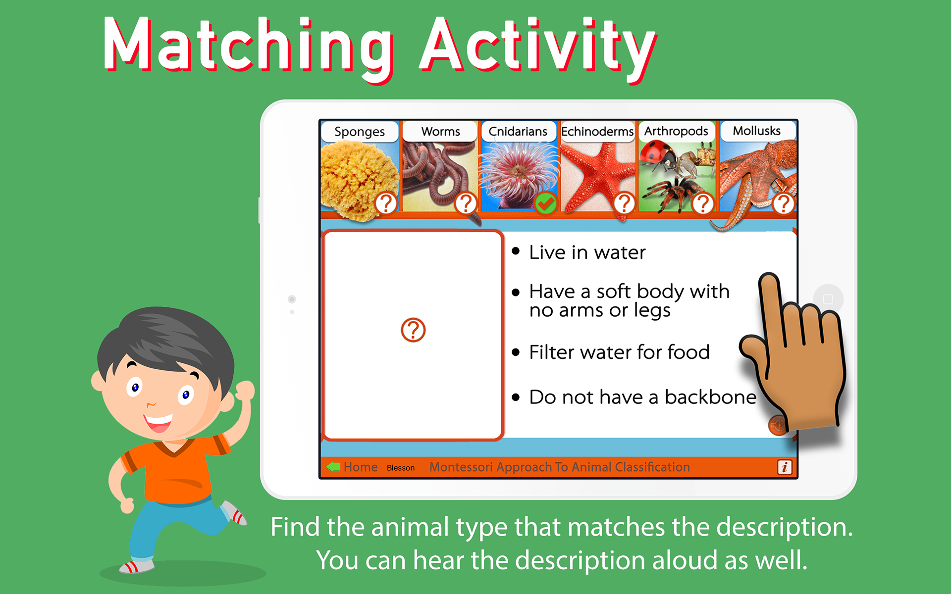 Animal Kingdom Invertebrates - Montessori Zoology - App on Amazon Appstore