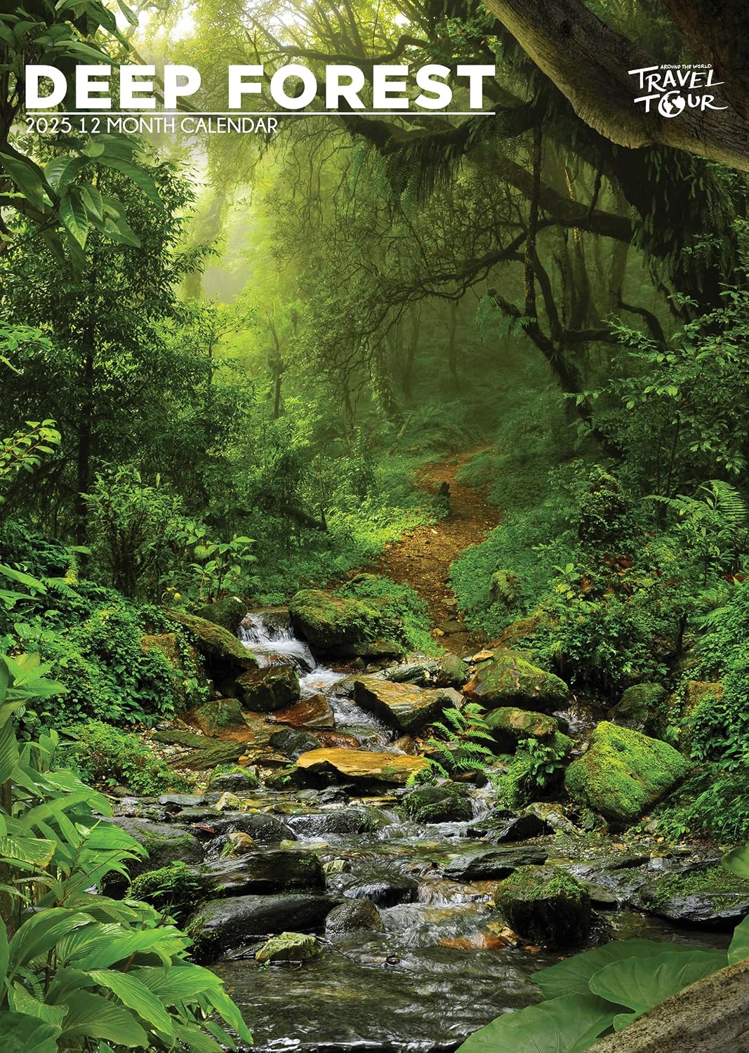 Deep Forest 2025 - A3 Size Wirobound Calendar : Amazon.co.uk ...
