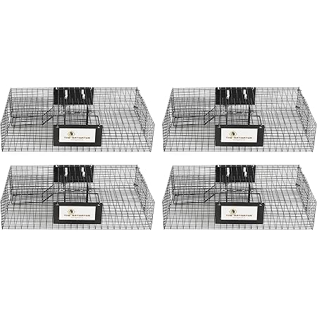 Amazon.com : Rugged Ranch SQRTO Squirrelinator Trap CatchMor Live ...