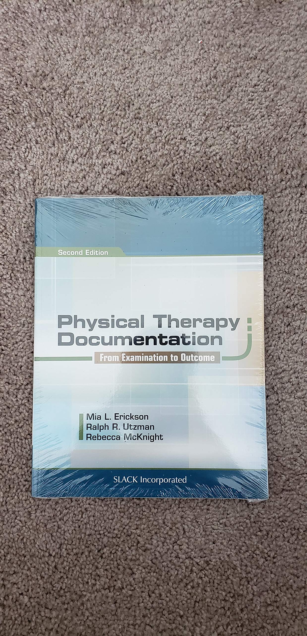 Physical Therapy Documentation: From Examination to Outcome ...