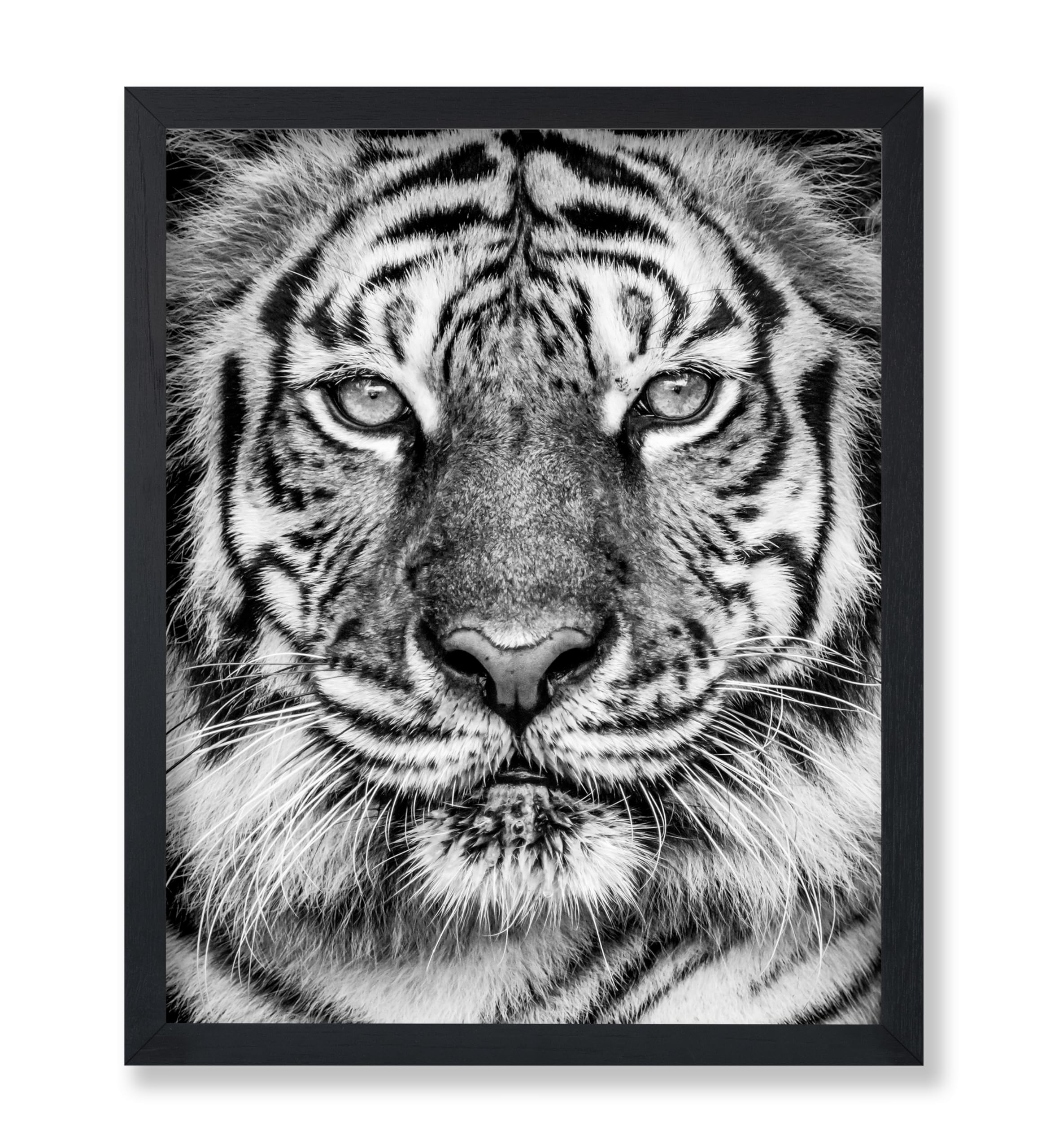 Amazon.com: Poster Master Vintage Tiger Poster - Retro Tiger Face Print ...