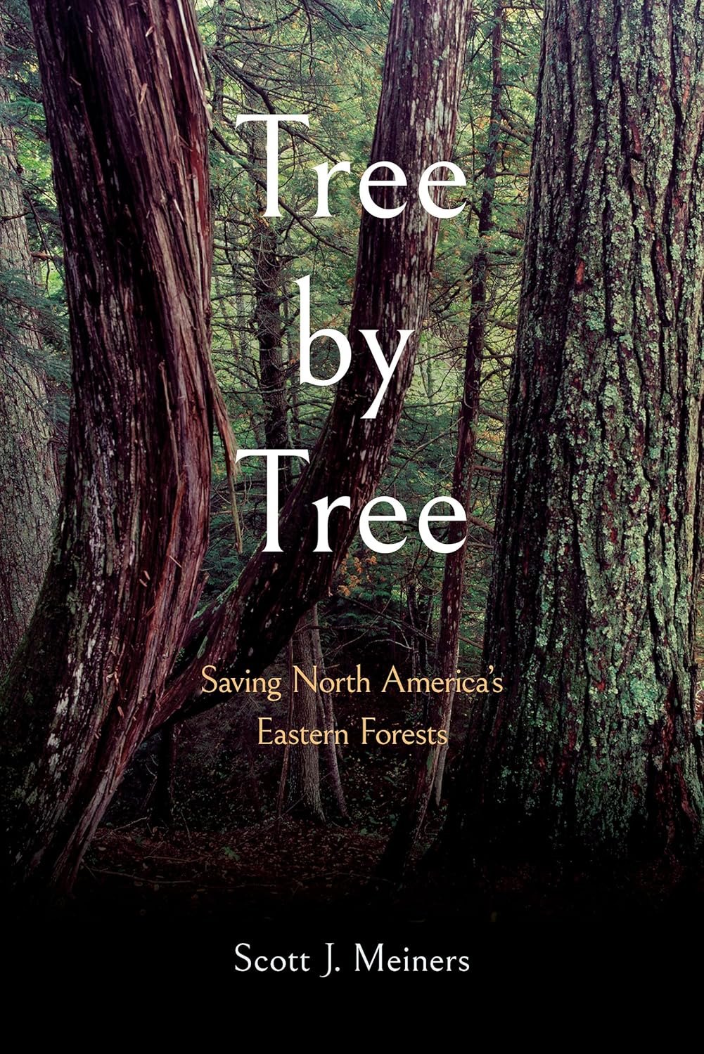 Tree by Tree: Saving North America's Eastern Forests: Meiners, Scott J ...
