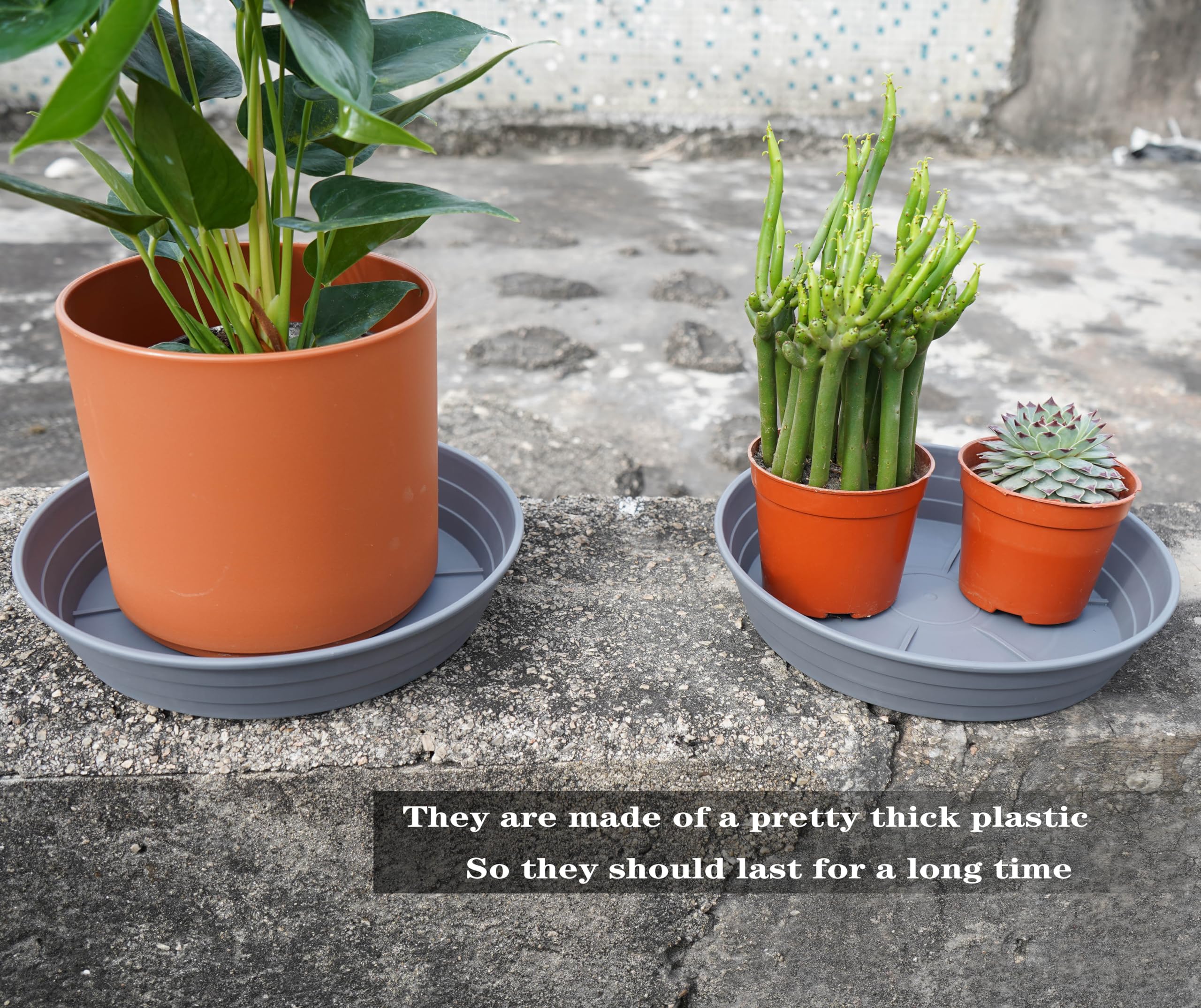 Snapklik.com : Plant Saucer 6 Inch 4 Pack 6 8 10 12 14 16 18 20 25 ...