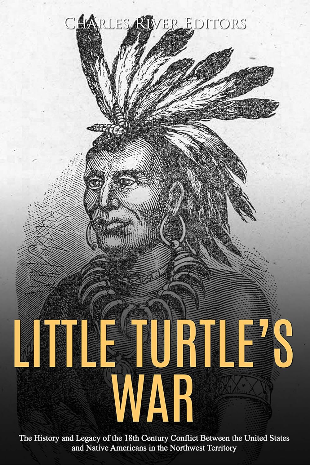 Amazon.com: Little Turtle’s War: The History and Legacy of the 18th ...