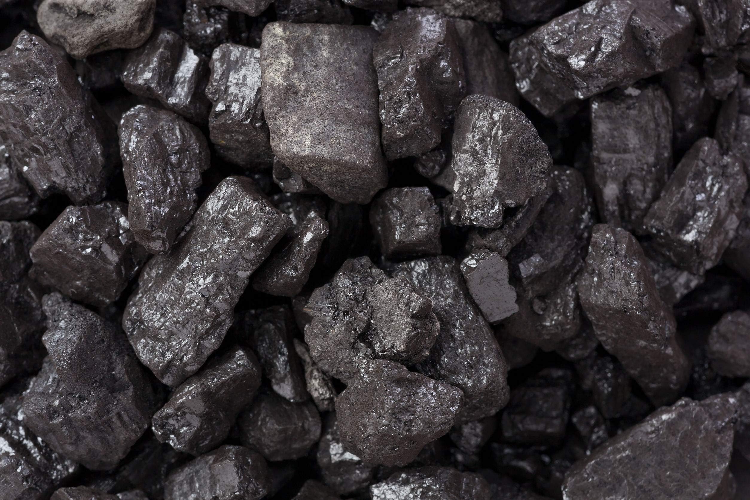 Amazon.com: Black Anthracite Coal - 2 Raw Pieces of Rock : Office Products