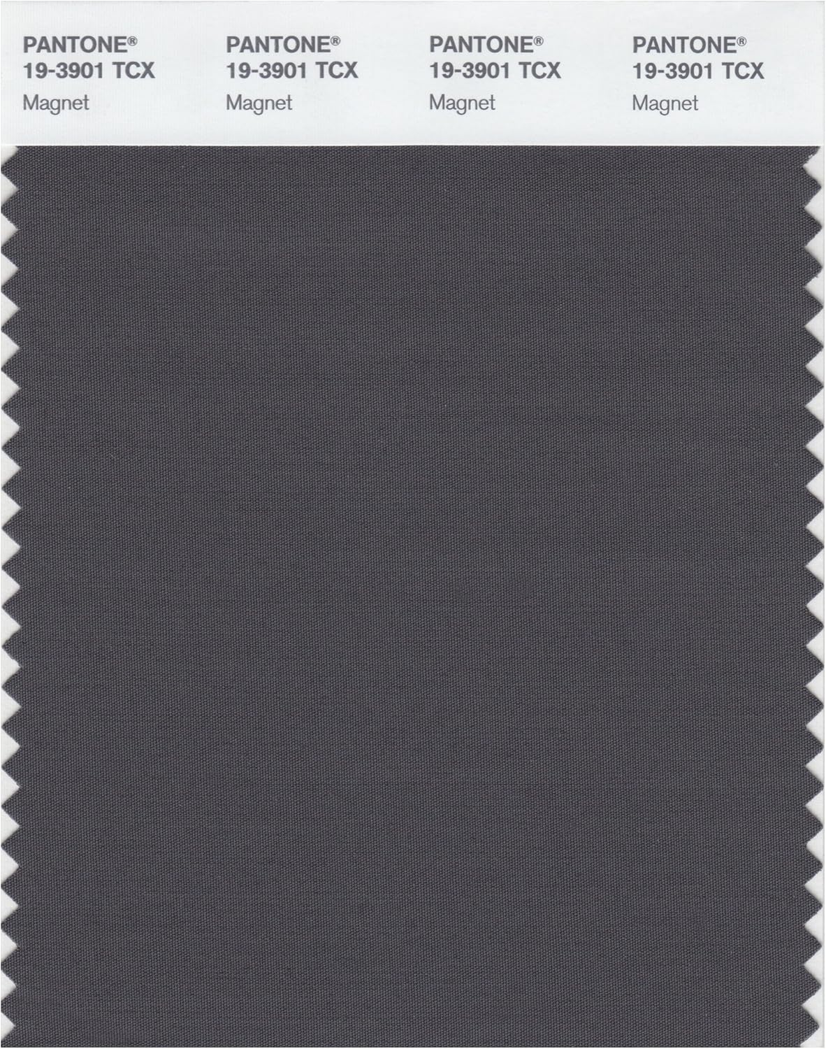 Amazon.com: Pantone 19-3901 TCX Smart Color Swatch Card, imán ...