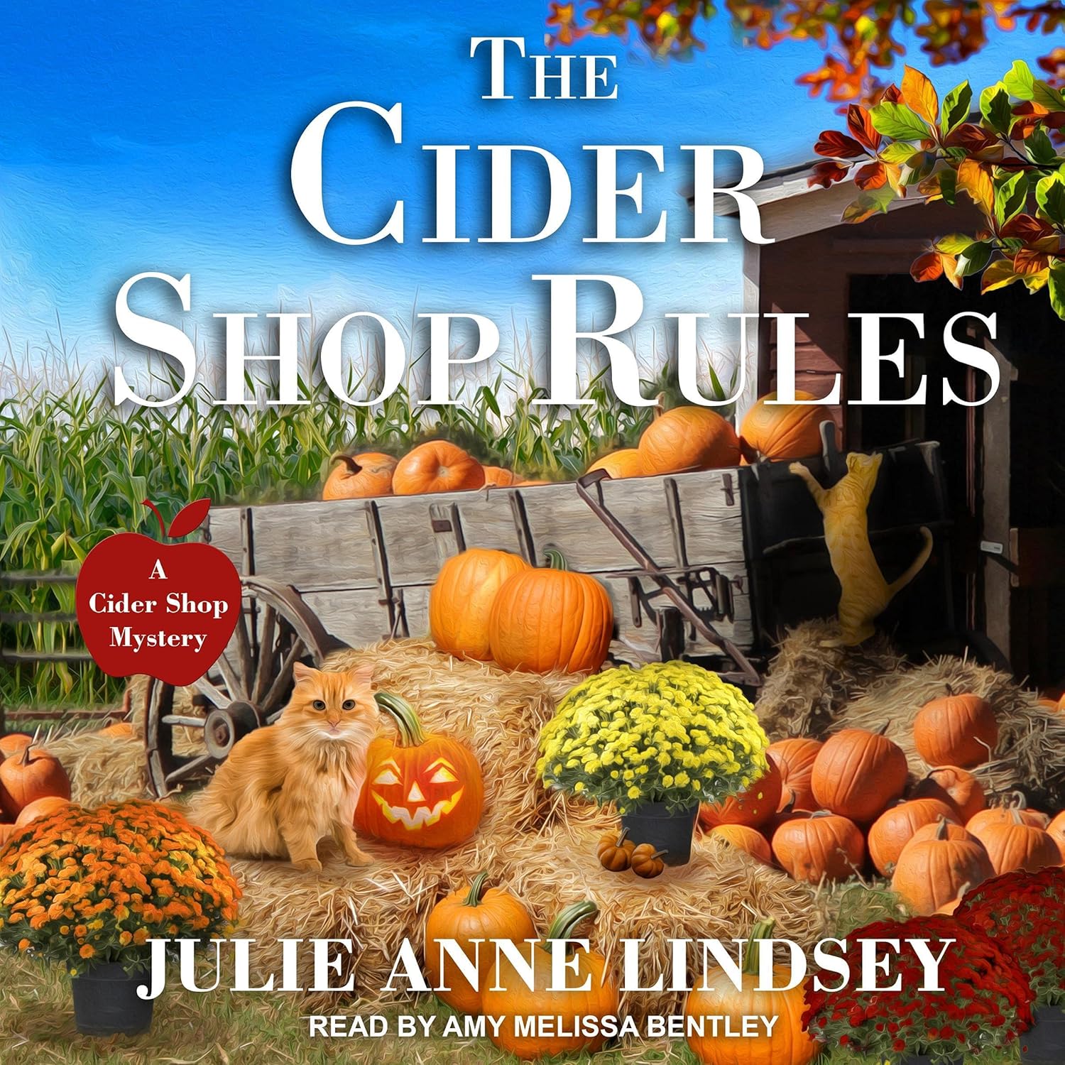 Amazon.com: The Cider Shop Rules: Cider Shop Mystery Series, Book 3 ...