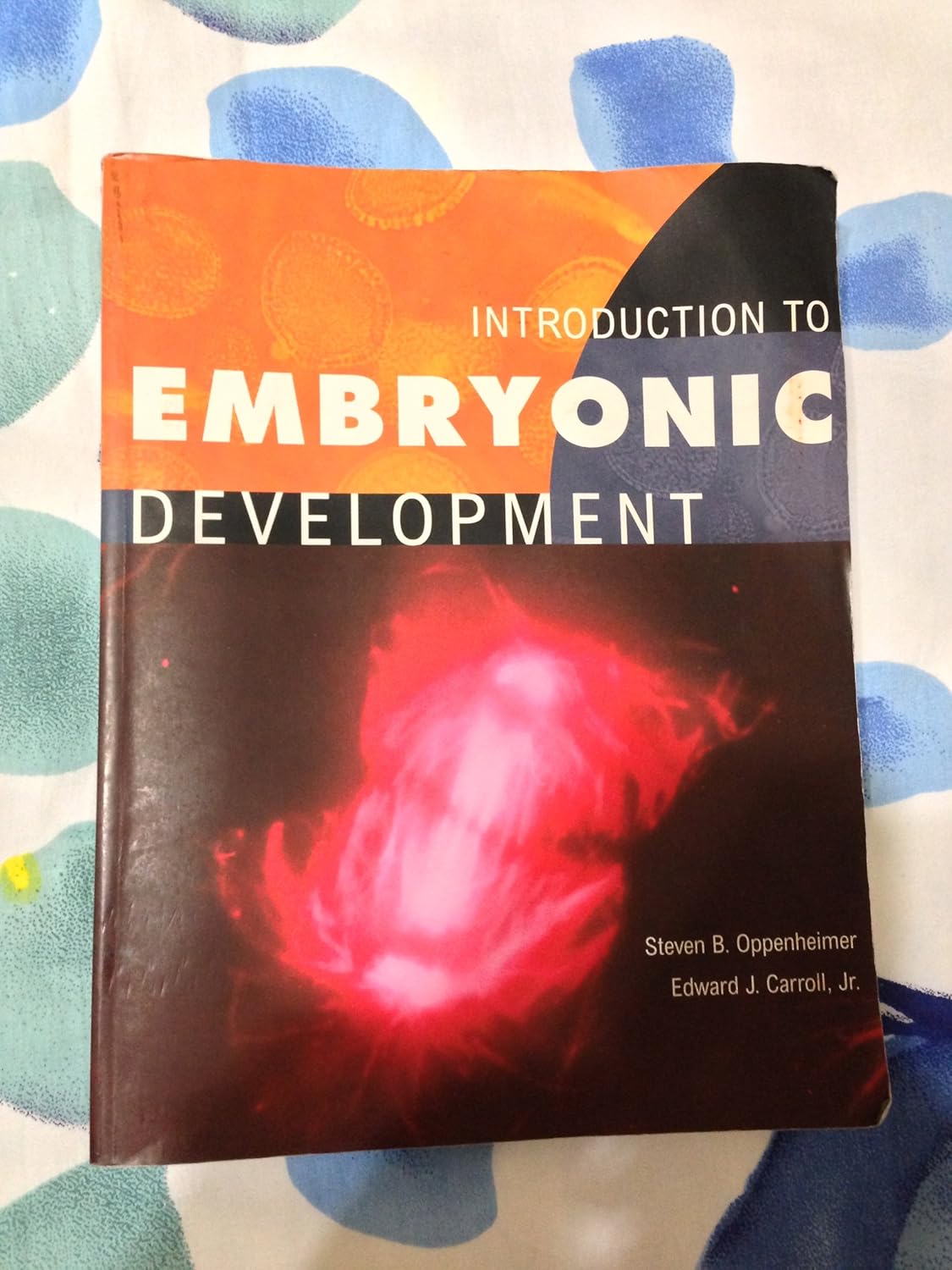 Amazon.com: Introduction to Embryonic Development: 9780536754608 ...