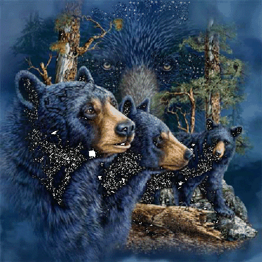 Grizzly Bear Live Wallpaper - App on Amazon Appstore