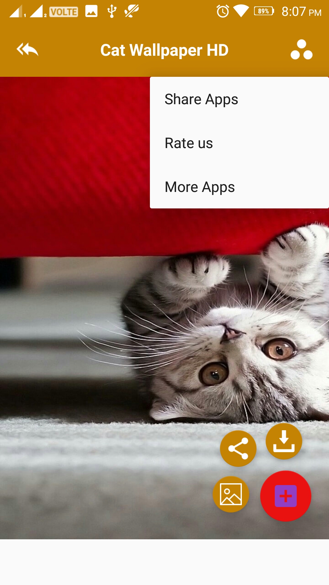 Cat Wallpaper HD - App on Amazon Appstore