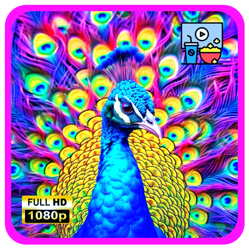 Peacock Prism Show – Vivid Feather Colors & Royal Visual Display - App ...